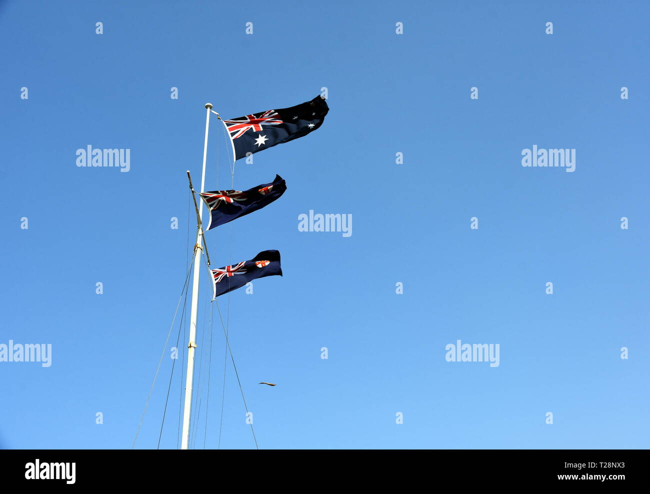 Australian flags waving in the wind. Flags of Australia waving in the ...