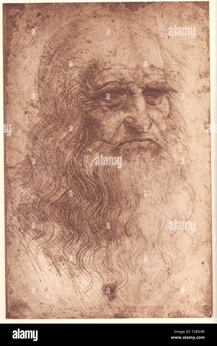 Self portrait da vinci hi-res stock photography and images - Alamy