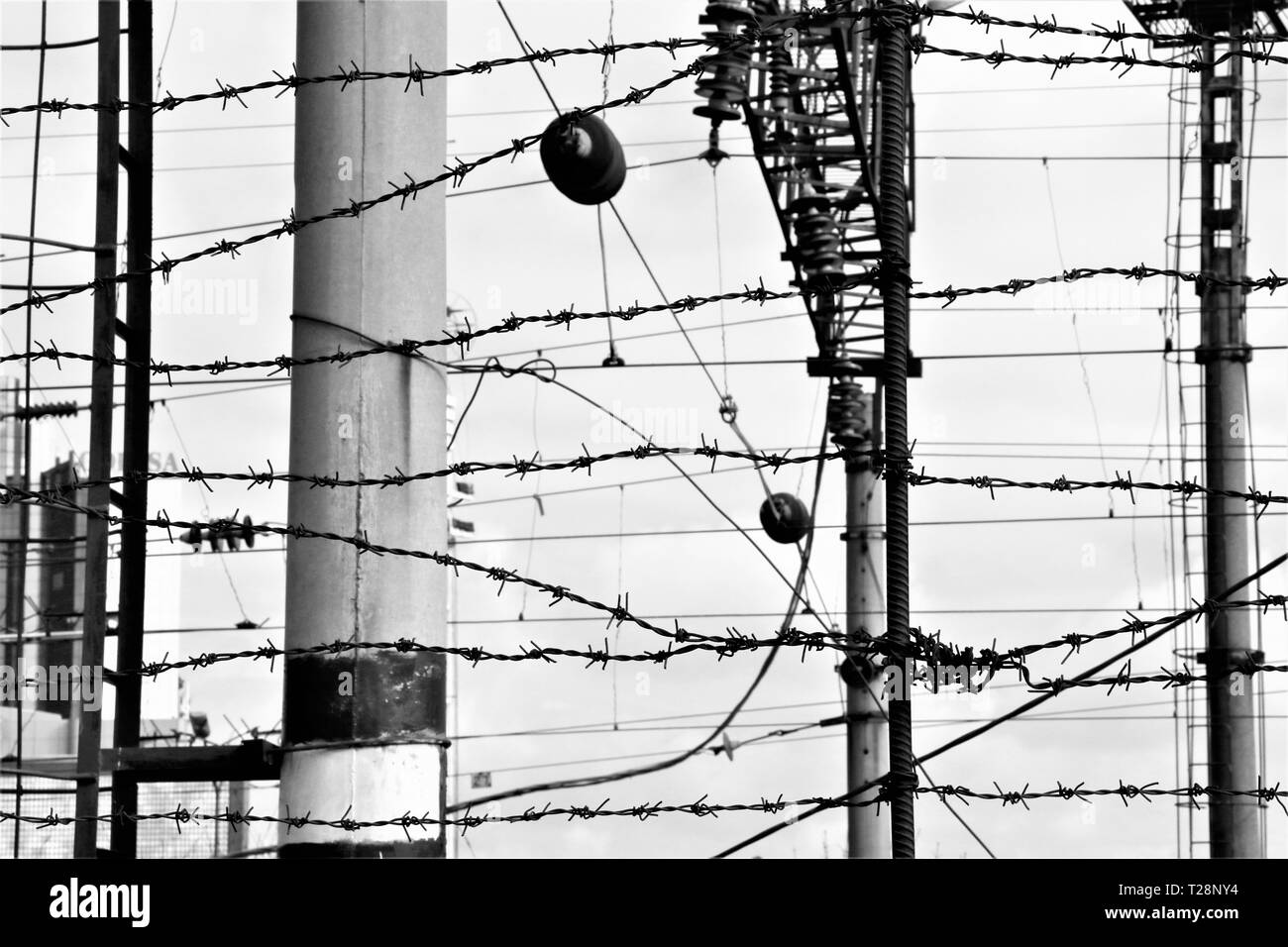 Stop, do not cross. Barbed wire Stock Photo - Alamy