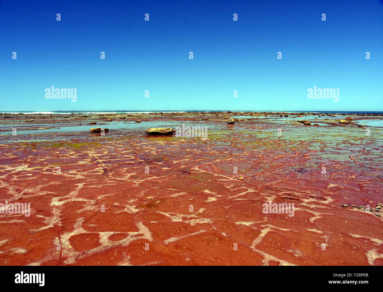 Low tide at Long Reef Headland (Sydney, Australia). Tide pools on the ...