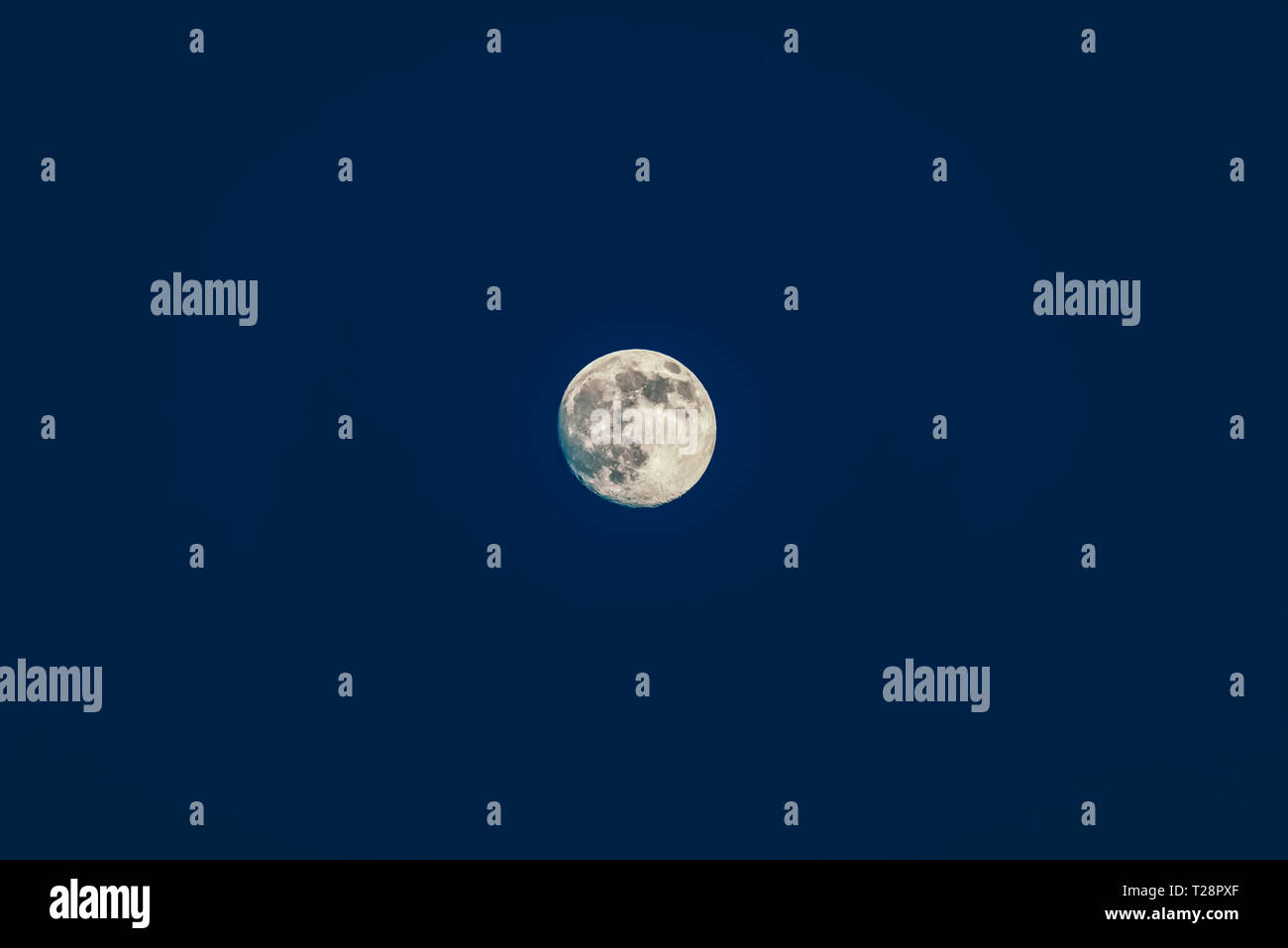 Moon Rising On Sky At Night Time Stock Photo - Alamy