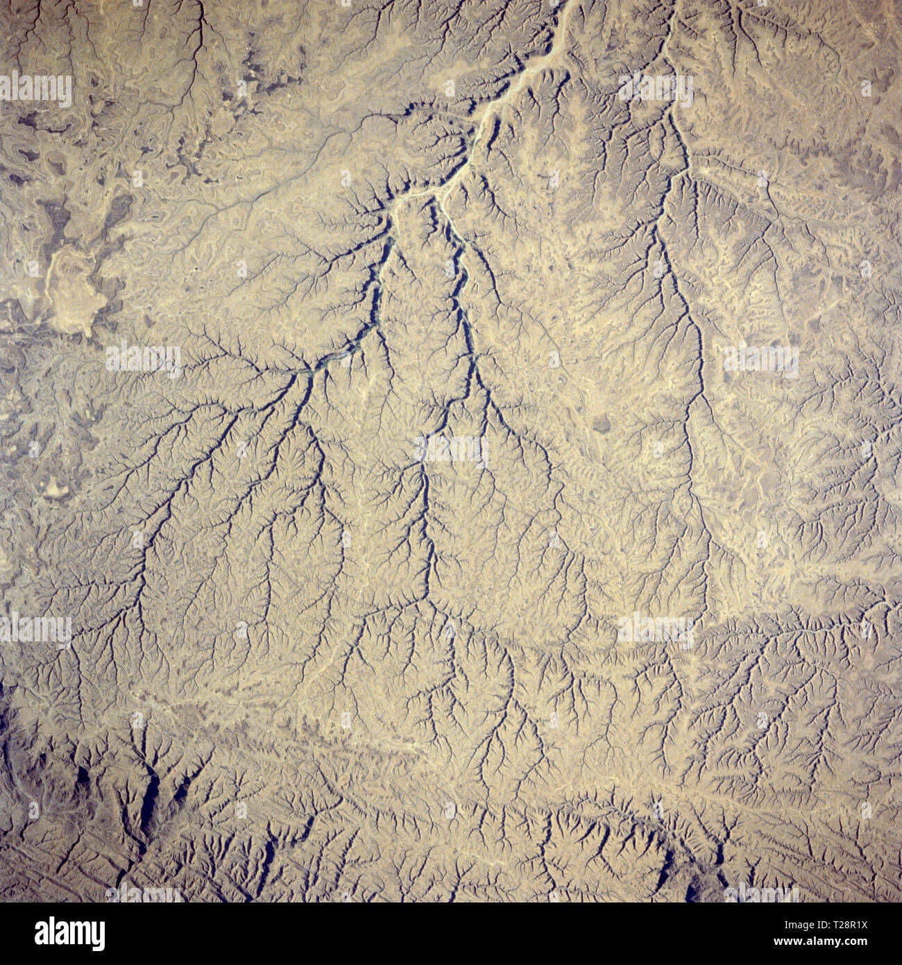 (5-13 Oct 1984) --- The deeply etched patterns of intermittent streams ...