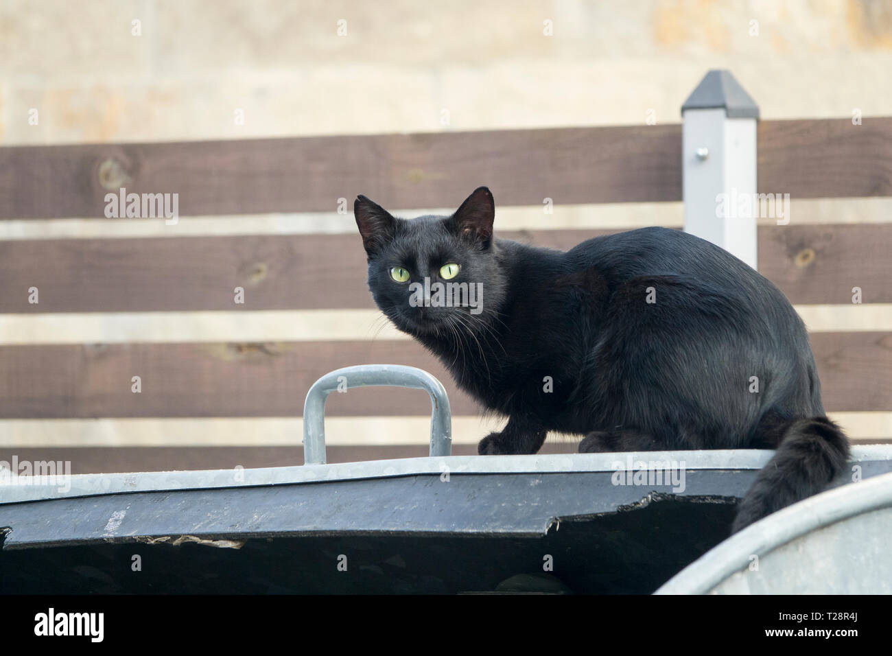 Sitting on a garbage can hi-res stock photography and images - Alamy