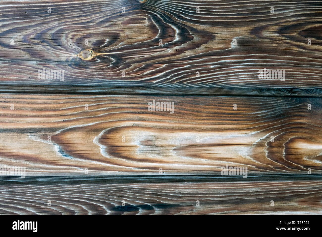 Horizontal wooden texture with different natural patterns Stock Photo ...