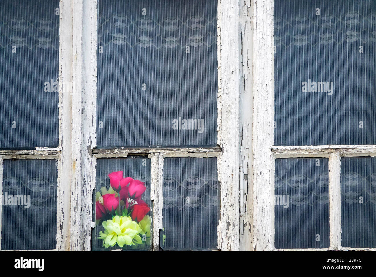 Old window with colorful flowers behind glass Stock Photo - Alamy