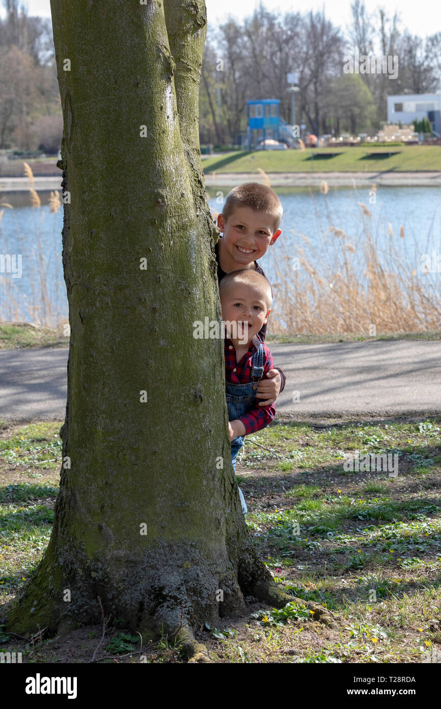 Two brother Children Hiding Behind Tree In Park Stock Photo - Alamy