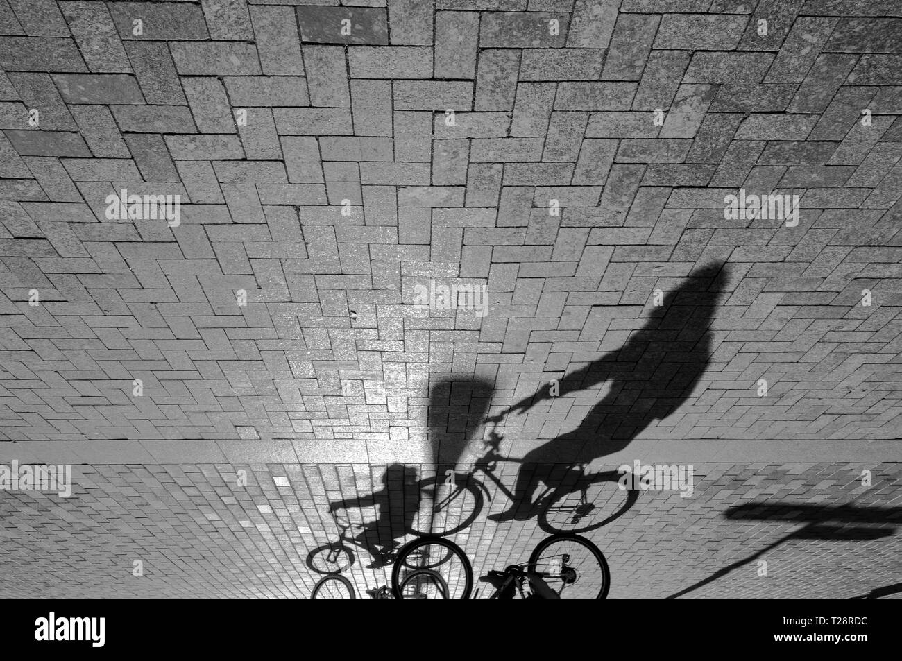 Shadow on street of biking family Stock Photo - Alamy
