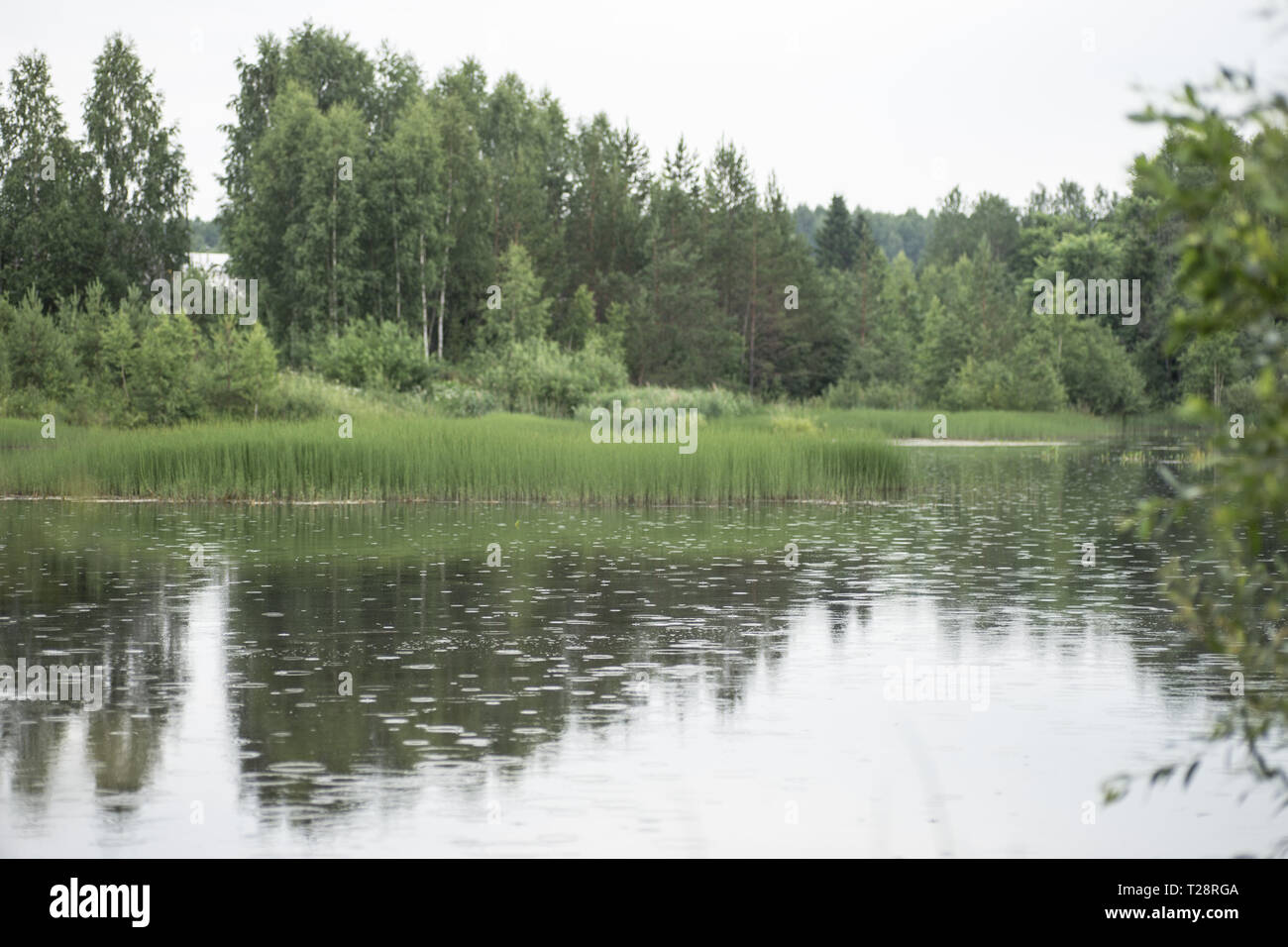 Rainy day by the lake hi-res stock photography and images - Alamy