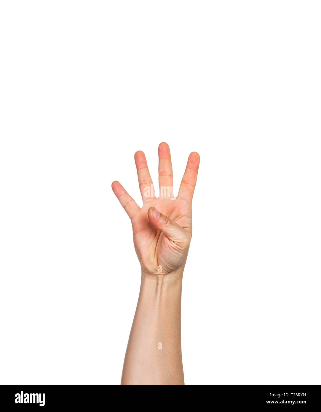 One male hand, fingers in fist with four fingers pointing up, room for ...