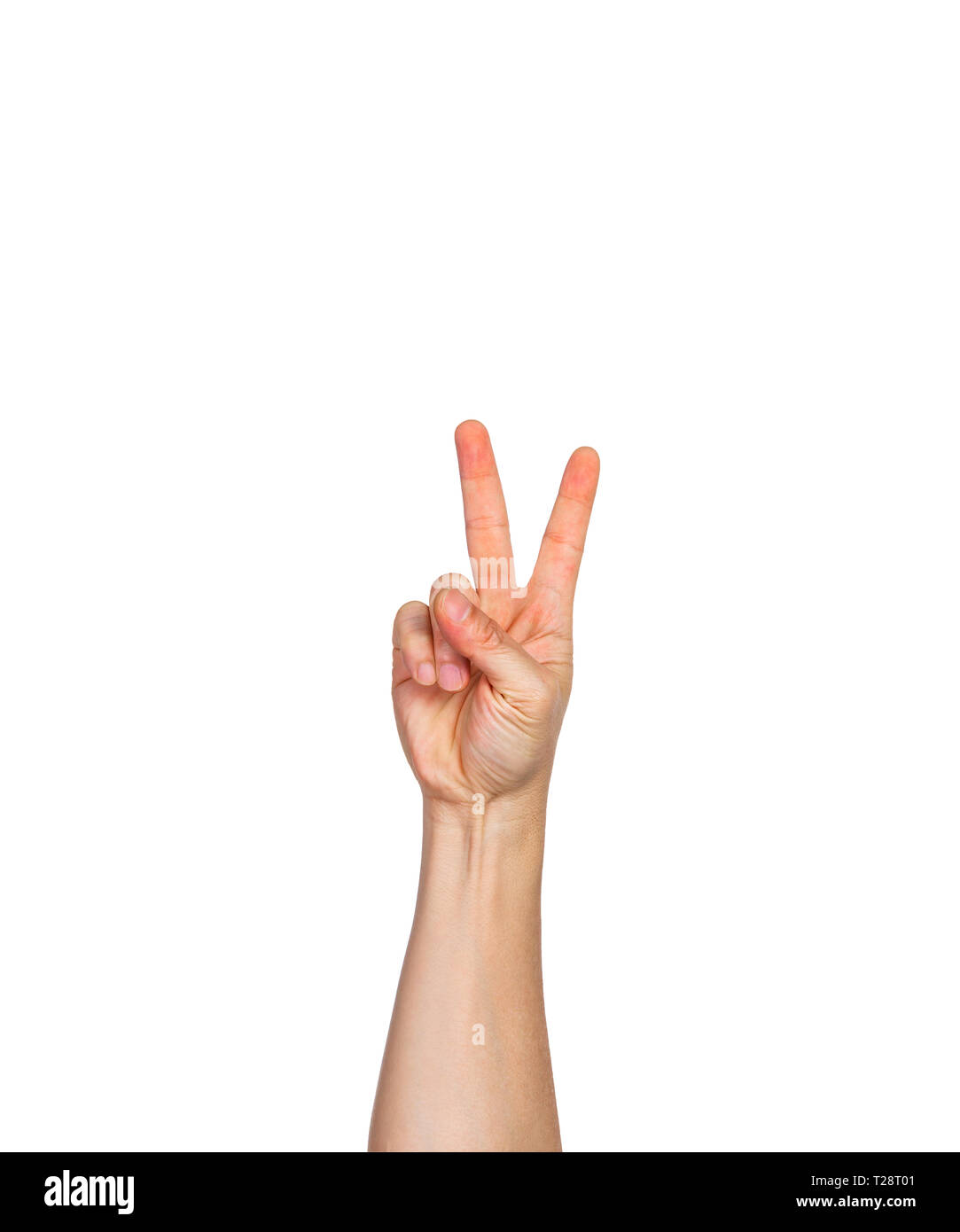One male hand, fingers in fist with two finger pointing up, room for ...