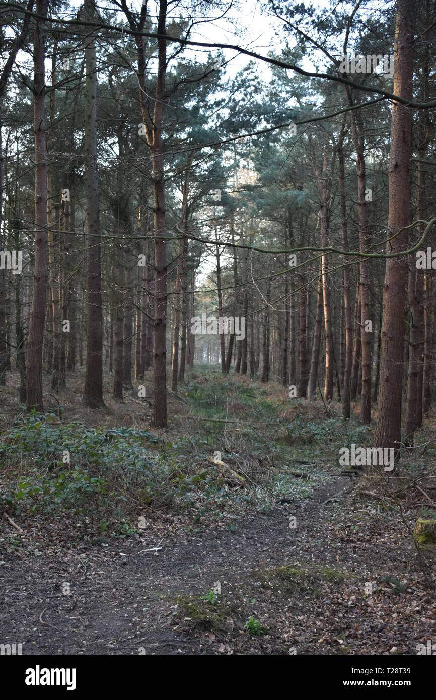 Chevin park hi-res stock photography and images - Alamy