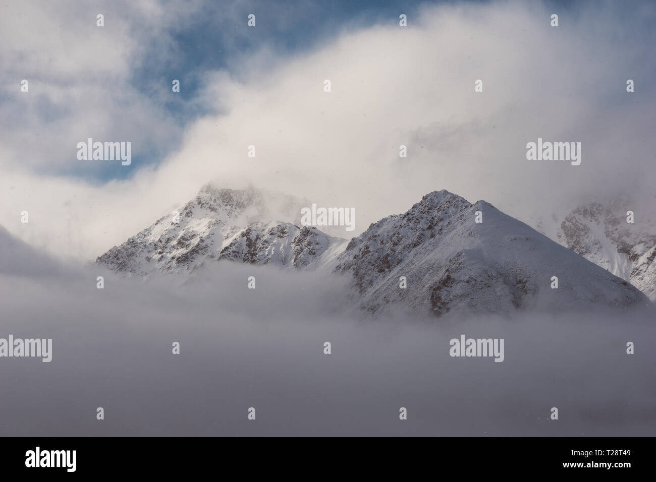 Amazing Mt Cook covered in snow high up in the clouds on a blue sky day ...