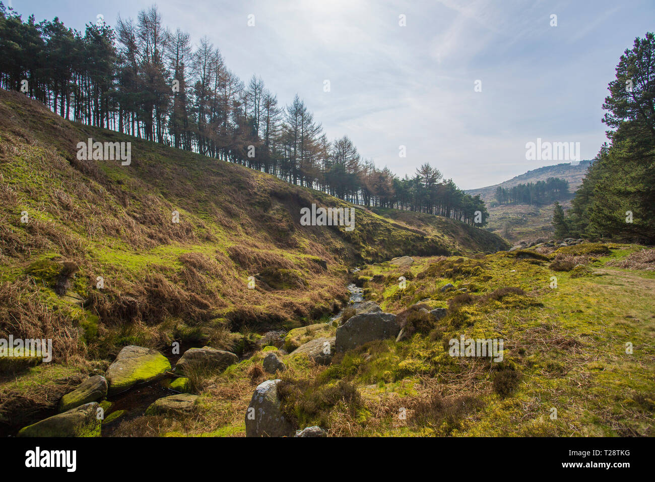 A landscape view of a stream flowing down through The Peak Dsitrict ...