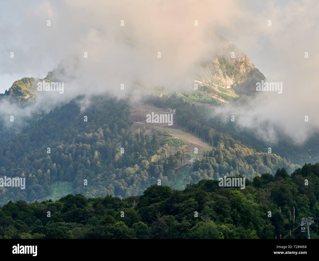 Green mountain slope with cable cars and ski runs at overcast summer ...