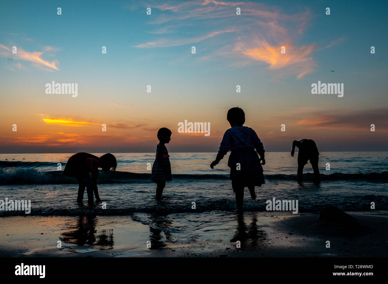Shells collecting hi-res stock photography and images - Alamy