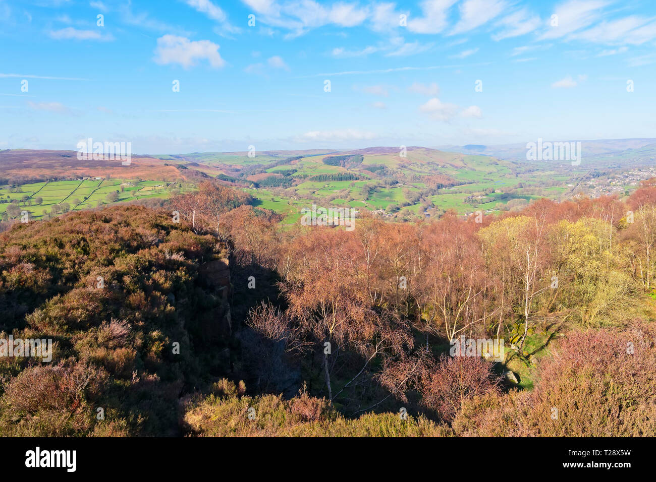 Over thr tops of tall trees to the distant hazy Derbyshire landscape on ...