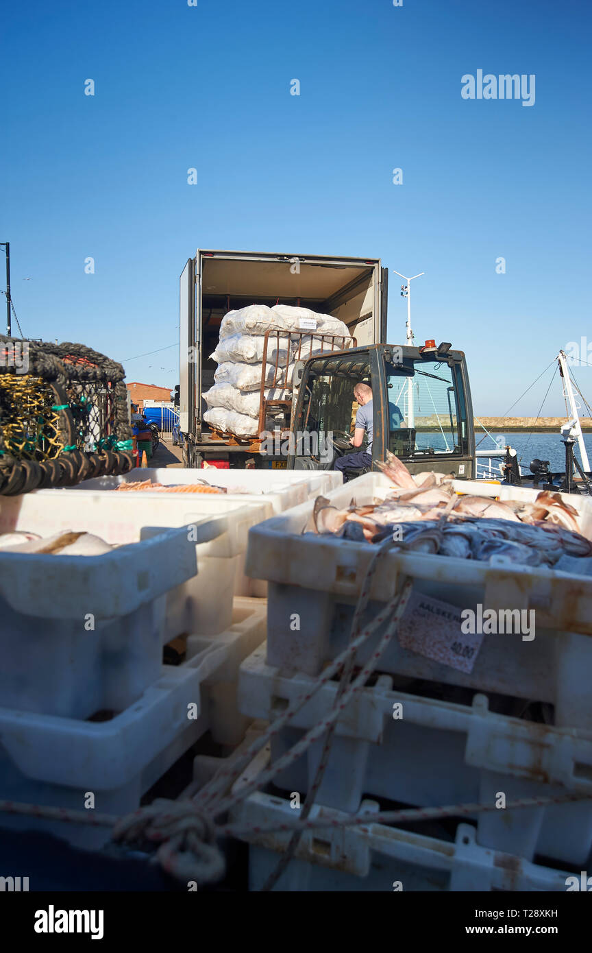 Fish boxes being loaded into a truck at the harbour in Whitby , North ...