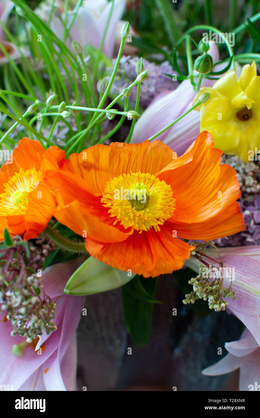 Designer bouquet with big orange poppy flower close up Stock Photo - Alamy