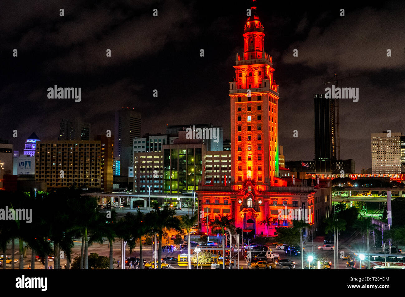 Miami Skyline At Night Neon