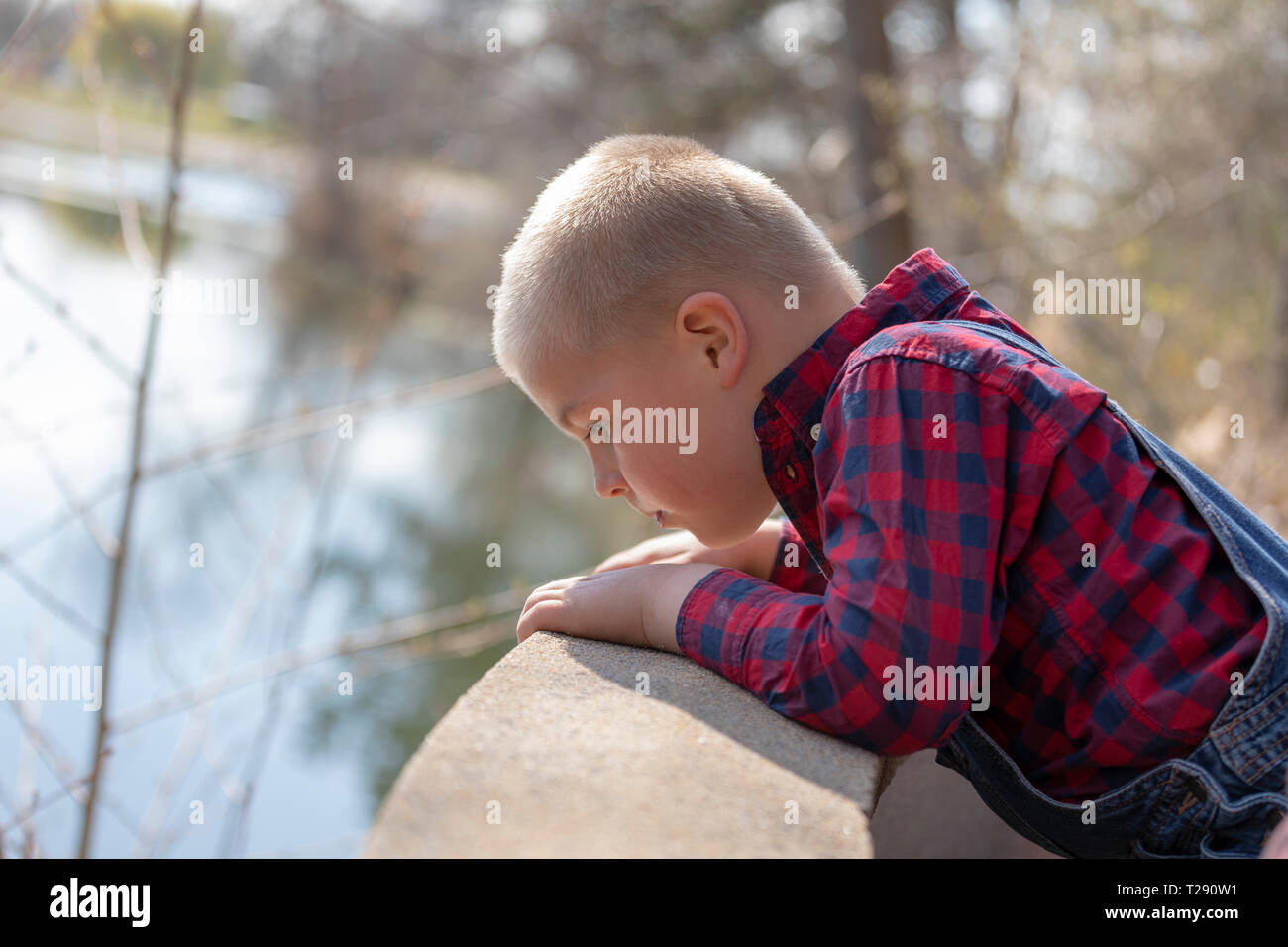 Back view little boy standing hi-res stock photography and images - Alamy