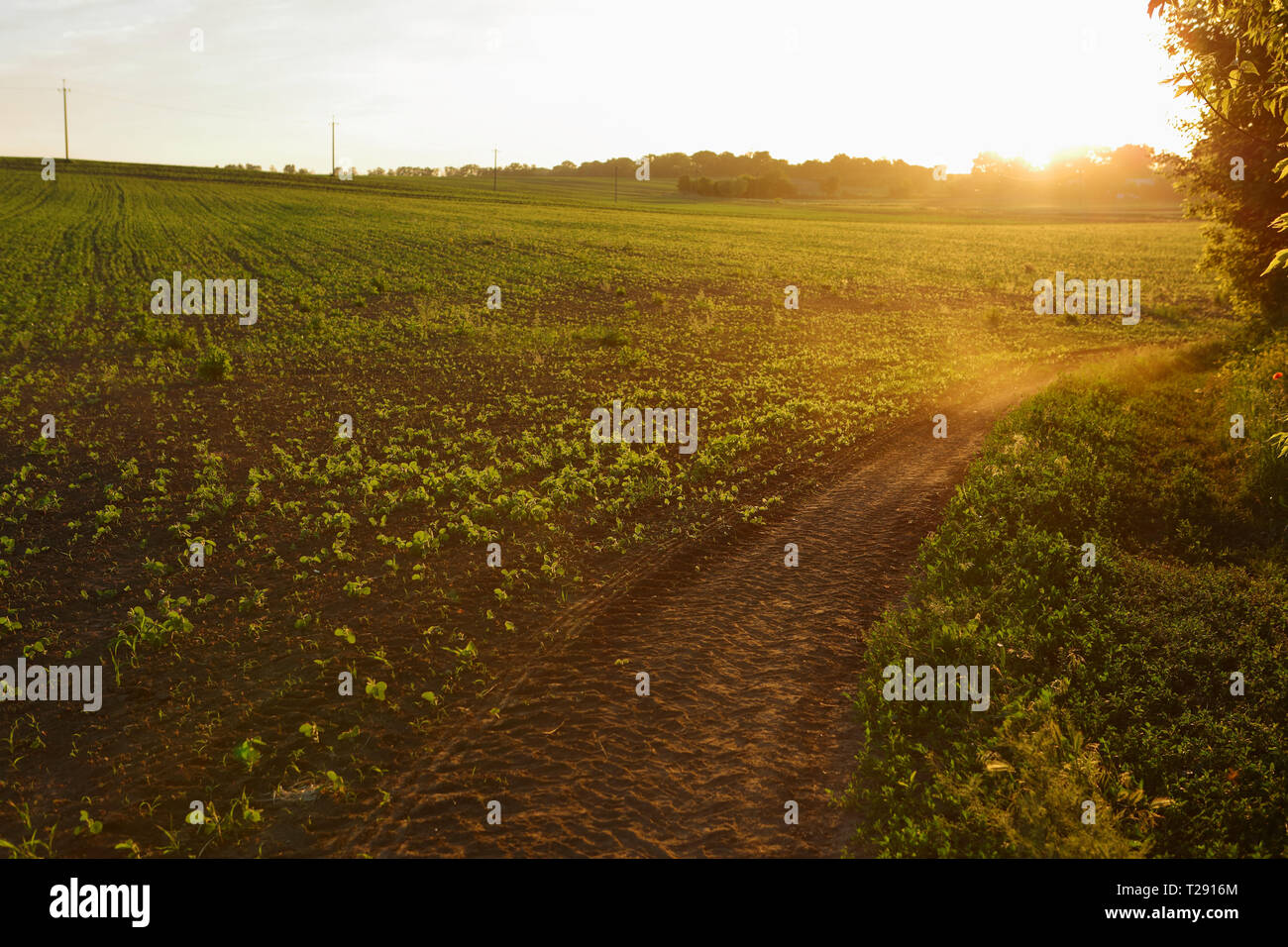 Landscape with farmer fields Stock Photo - Alamy