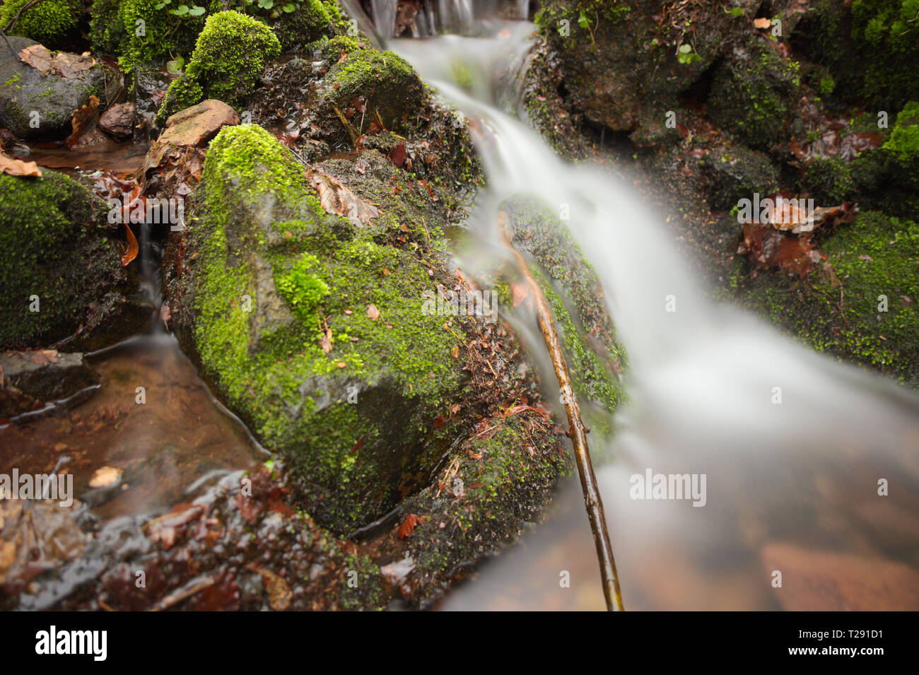 Naturfarbig High Resolution Stock Photography and Images - Alamy