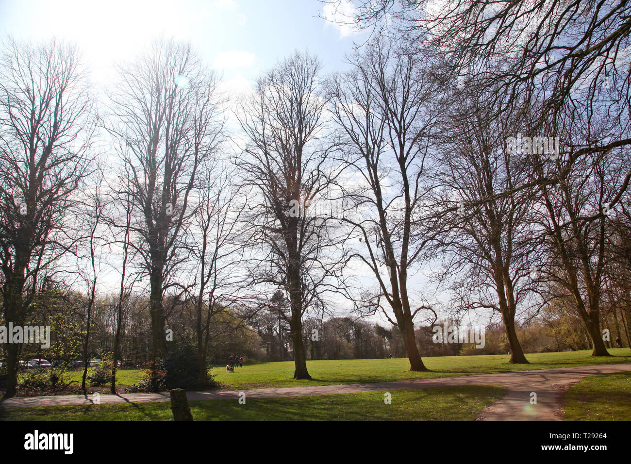 Calderstones Park, Liverpool Stock Photo - Alamy