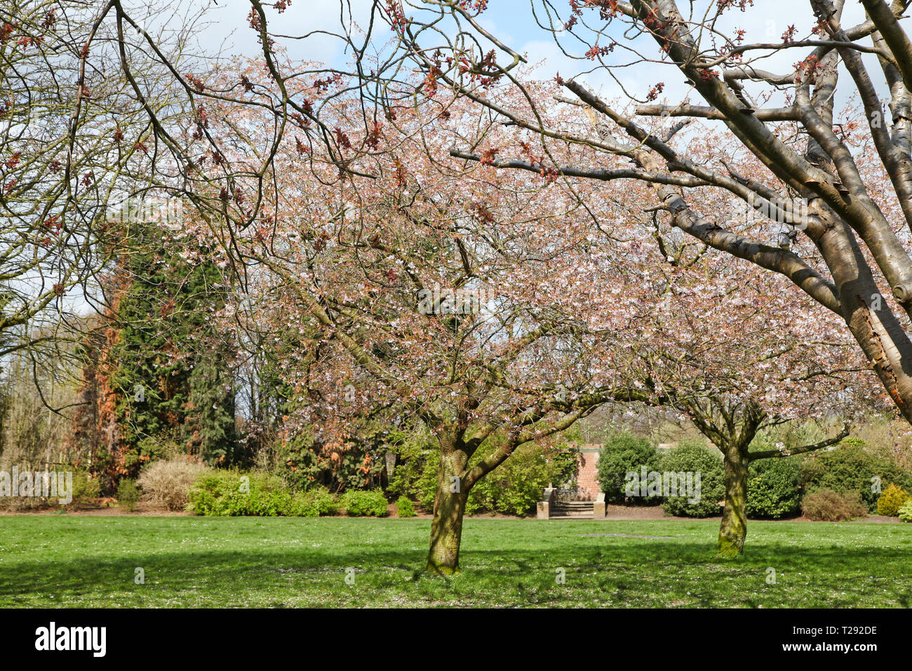 Calderstones park hi-res stock photography and images - Alamy