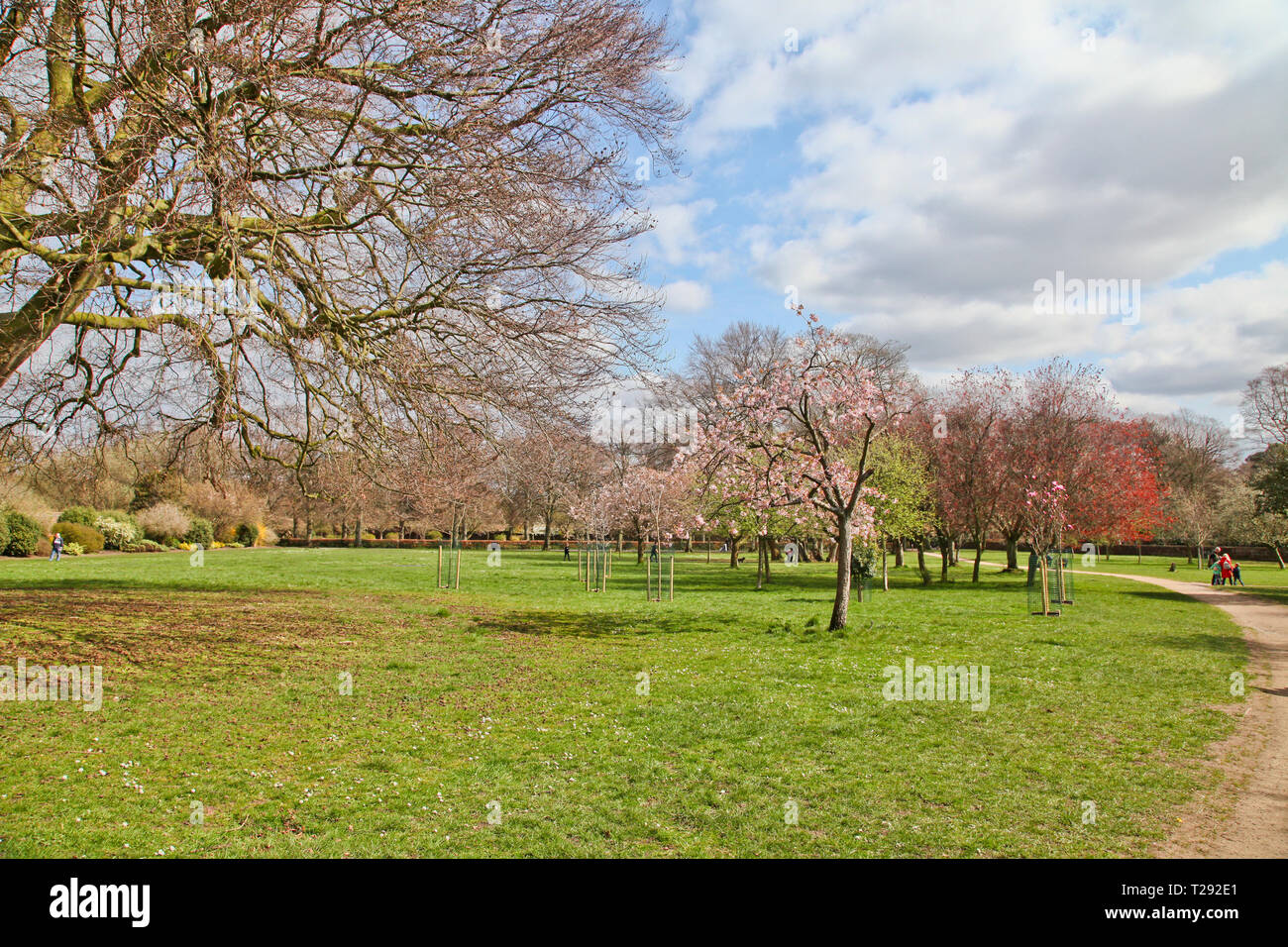 Calderstones Park, Liverpool Stock Photo - Alamy