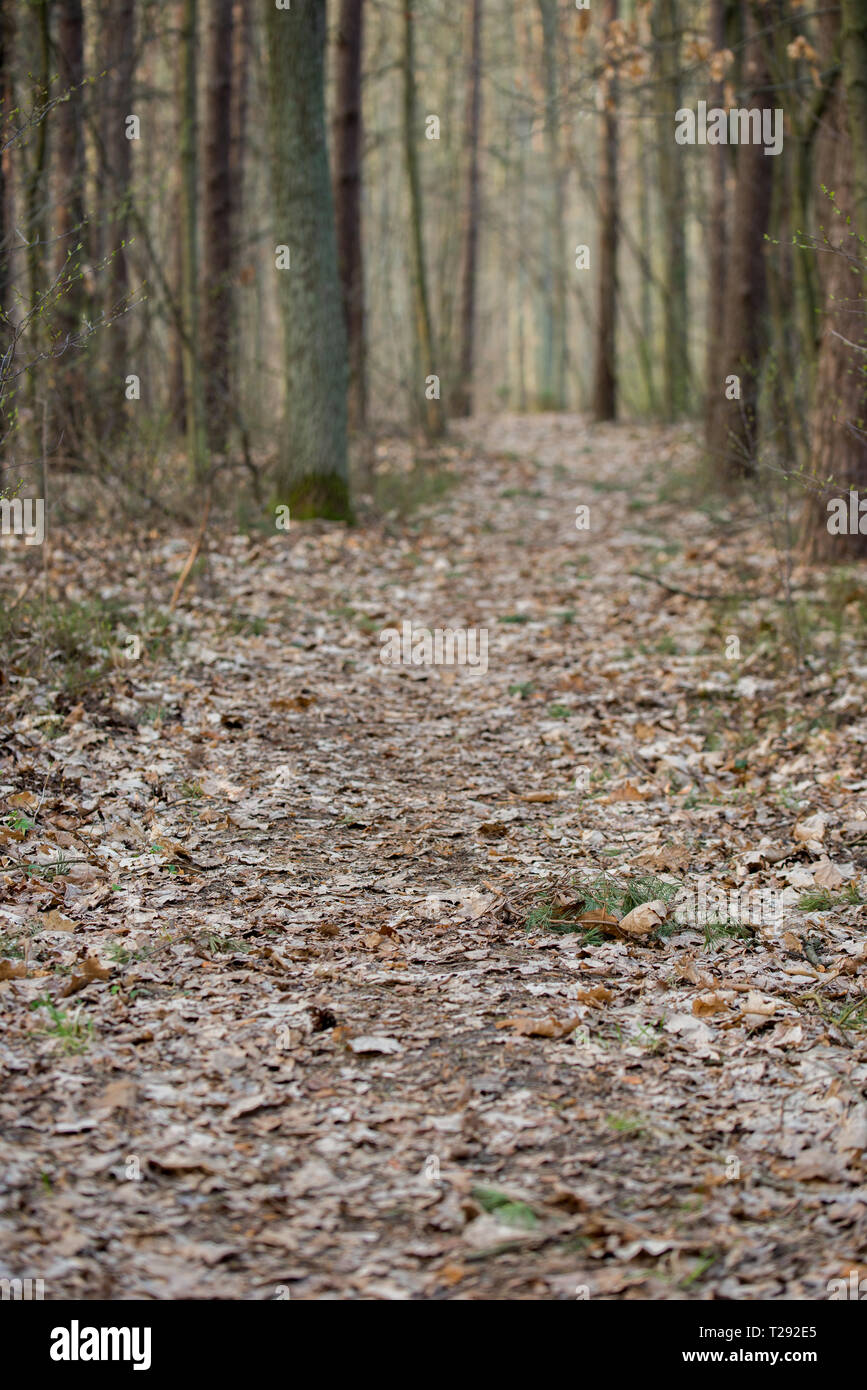 Early spring day hi-res stock photography and images - Alamy