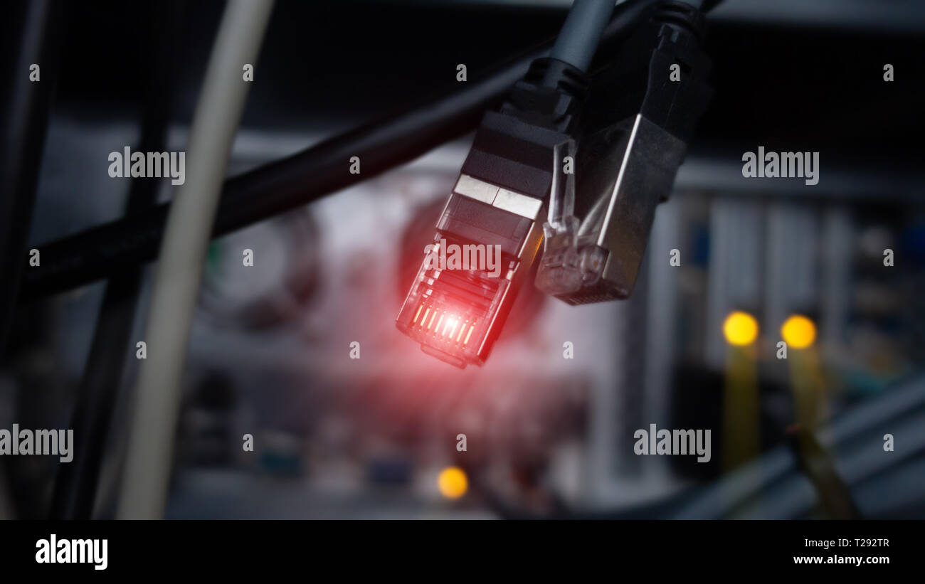 Lan connectore close up. Datacenter server room background. Technology ...