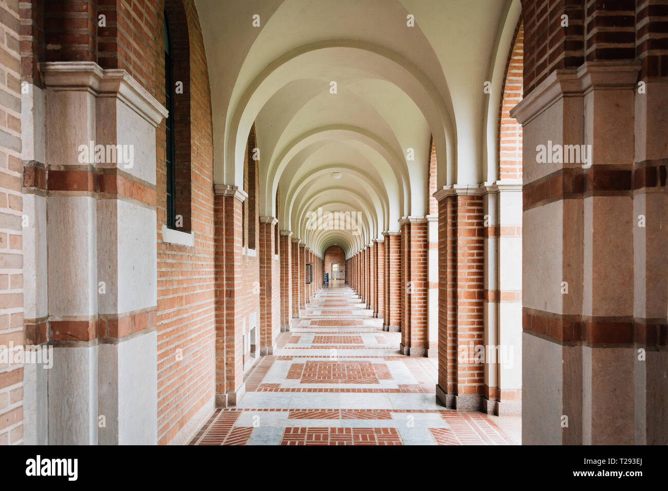 Rice University Architecture