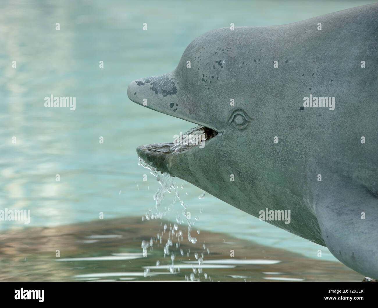 Water feature of a Dolphin in one of the basins of the two fountains on ...