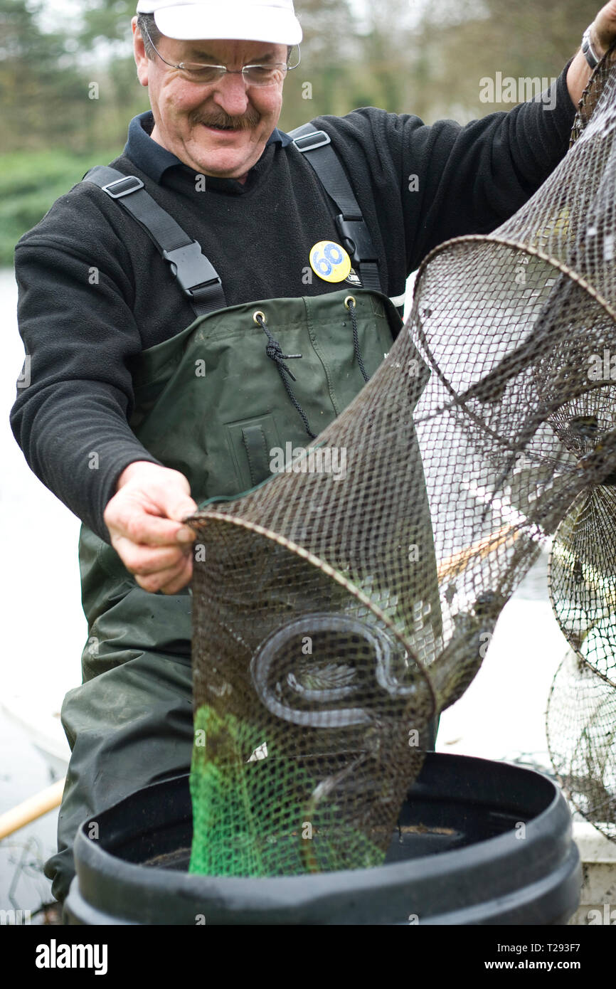 Fishing net full of freshly caught fish hi-res stock photography and ...