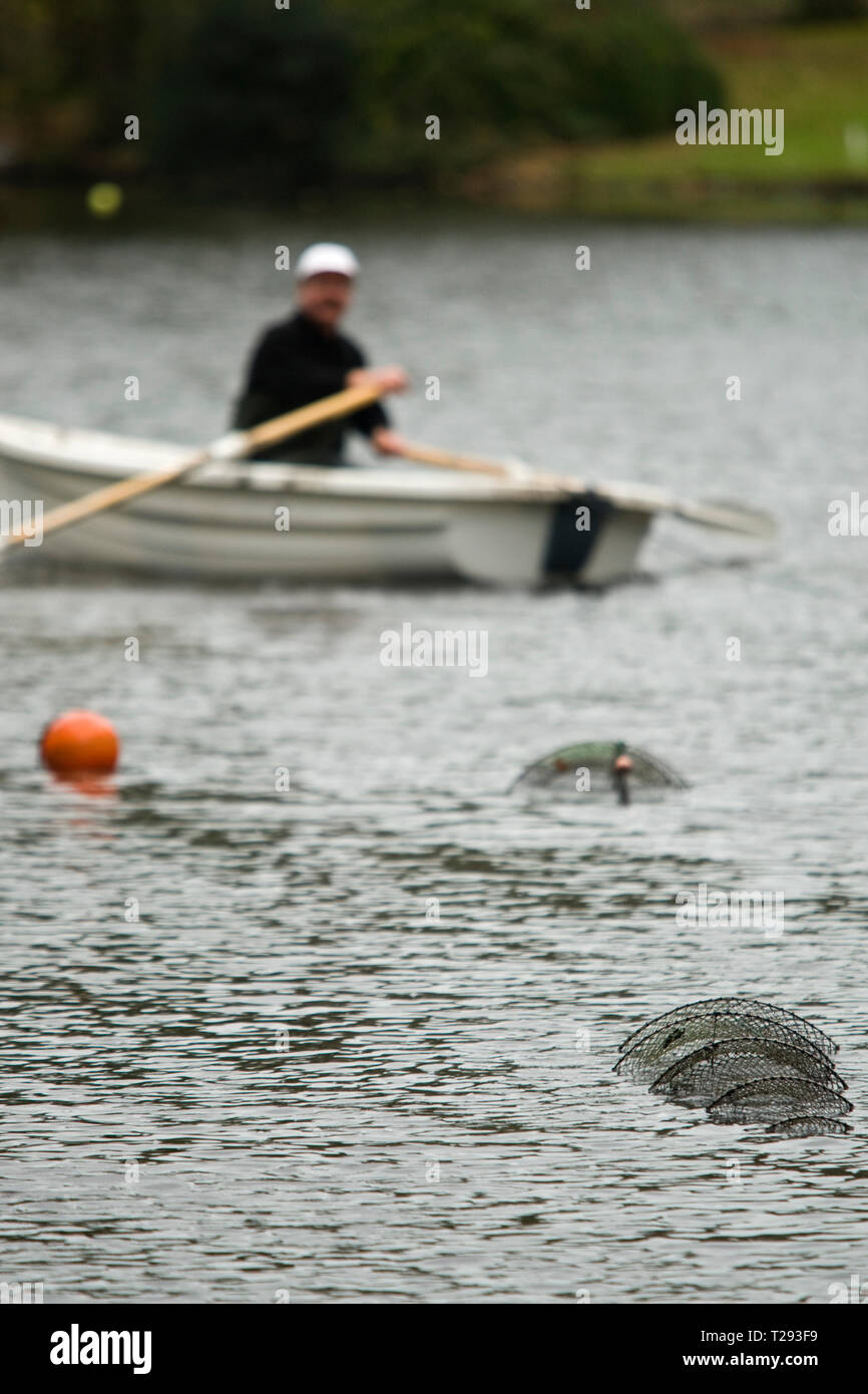 Threat from sea netting hi-res stock photography and images - Alamy