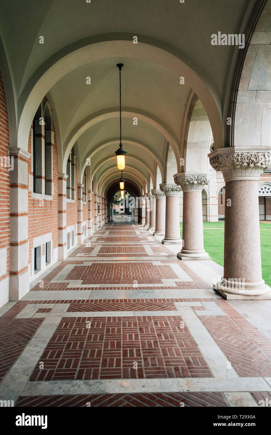 Rice University Architecture