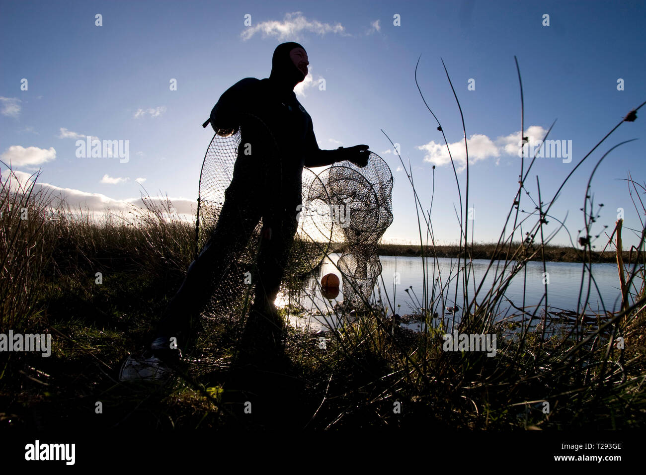 Threat from sea netting hi-res stock photography and images - Alamy