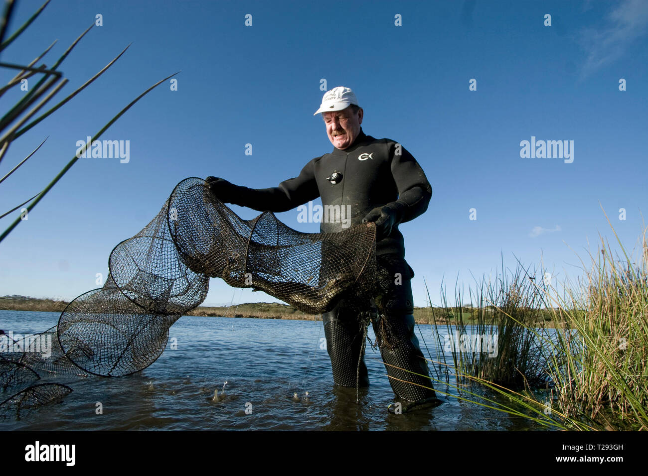 Threat from sea netting hi-res stock photography and images - Alamy