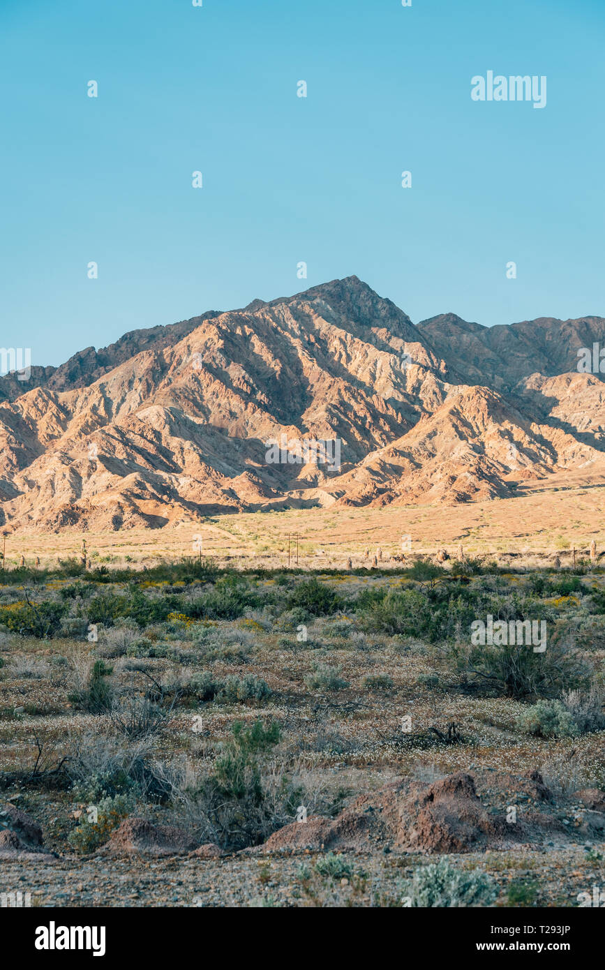 Niland hi-res stock photography and images - Alamy