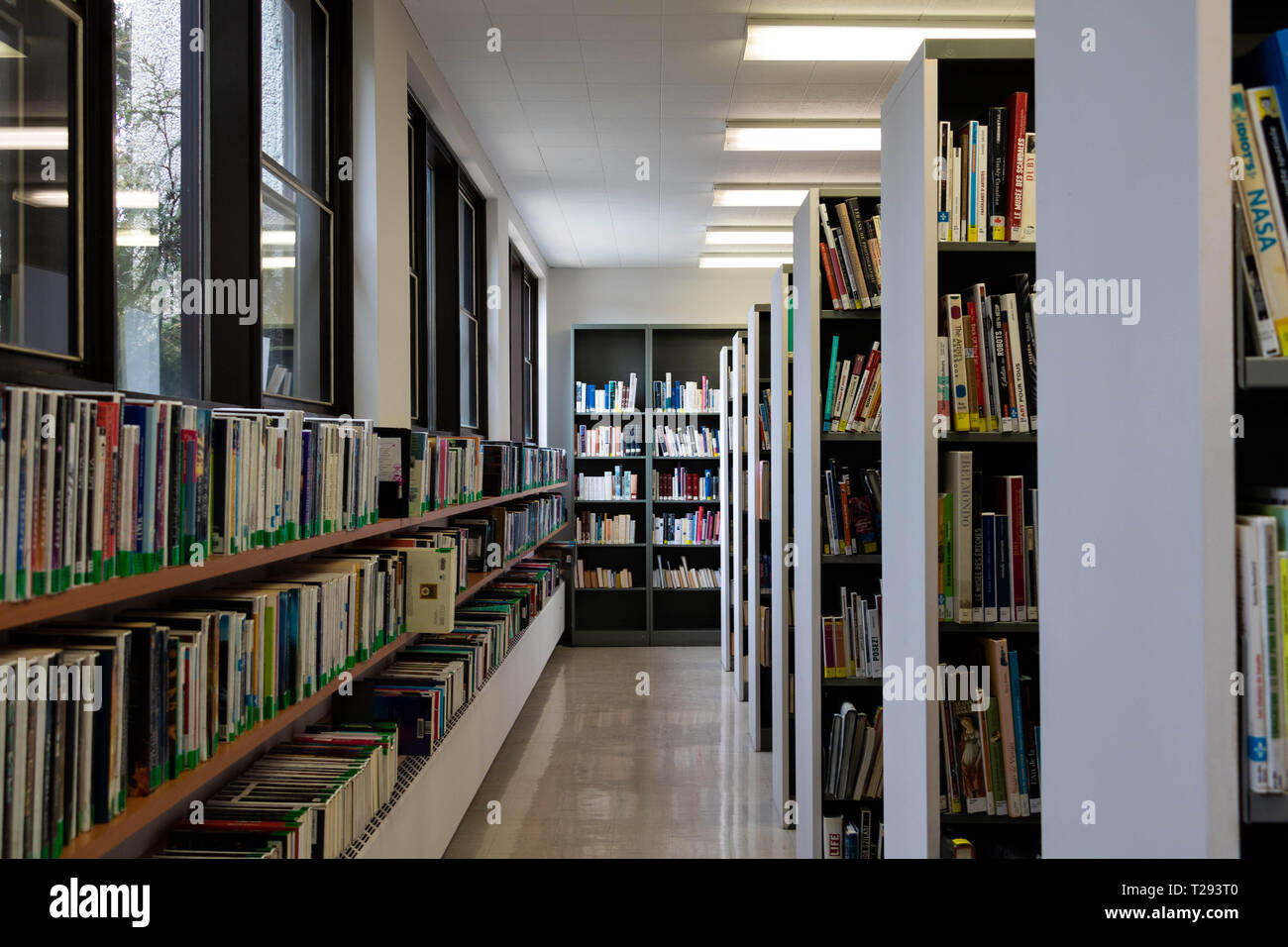 Inside a public library hi-res stock photography and images - Alamy
