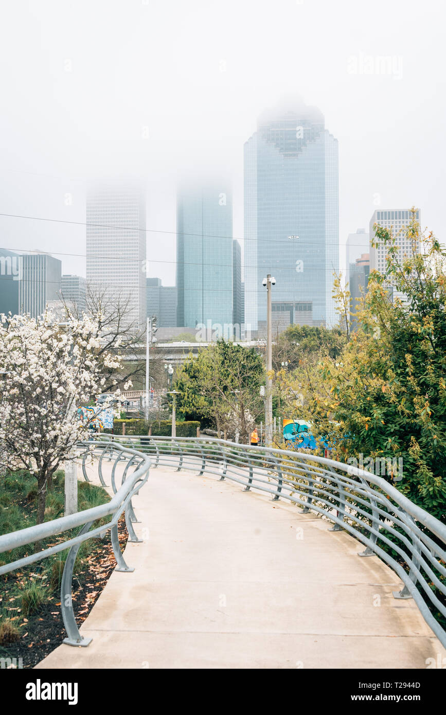 View of the Houston skyline in fog, from Buffalo Bayou Park in Houston ...