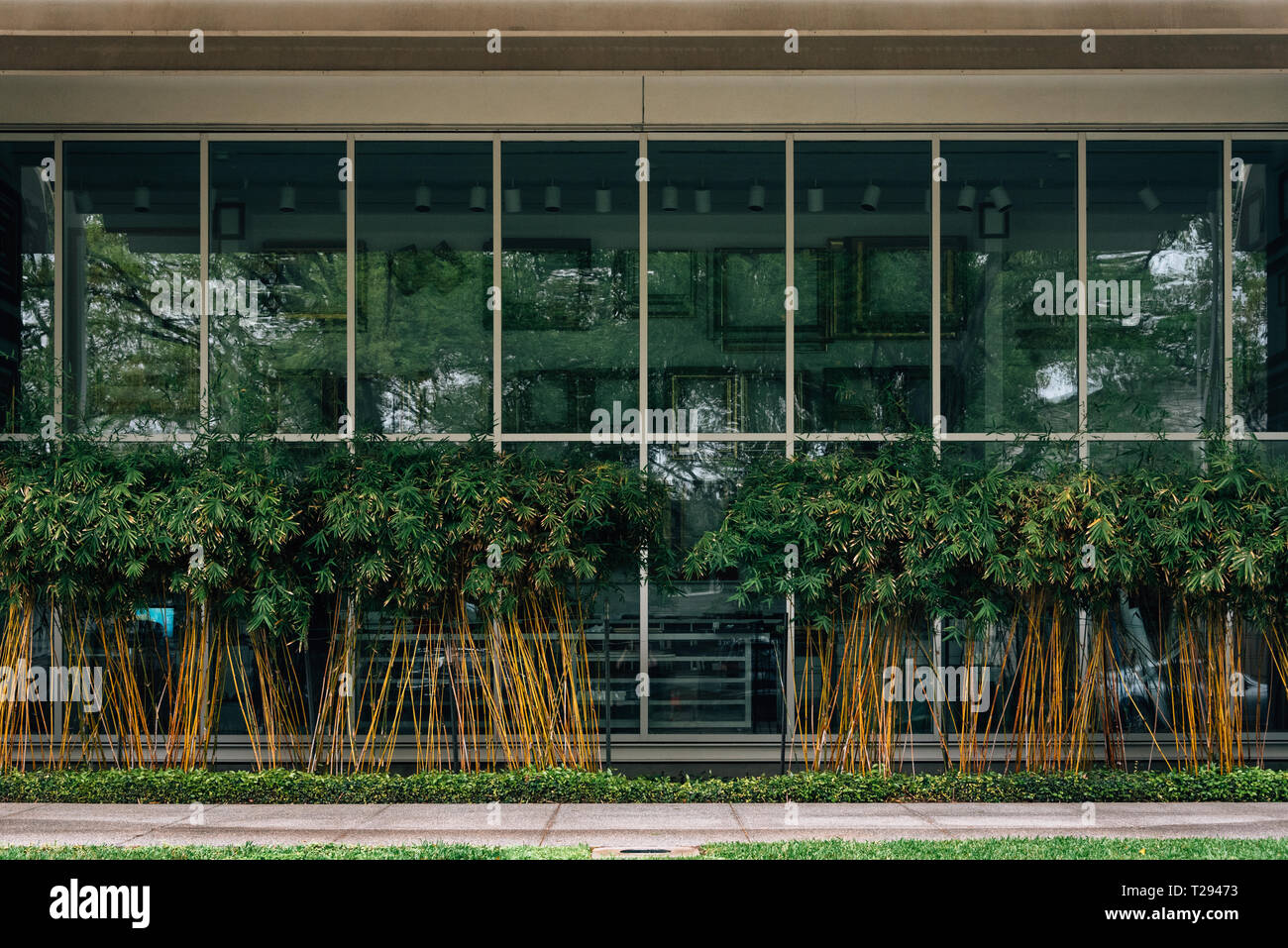 The exterior of the Menil Collection, in Houston, Texas Stock Photo - Alamy