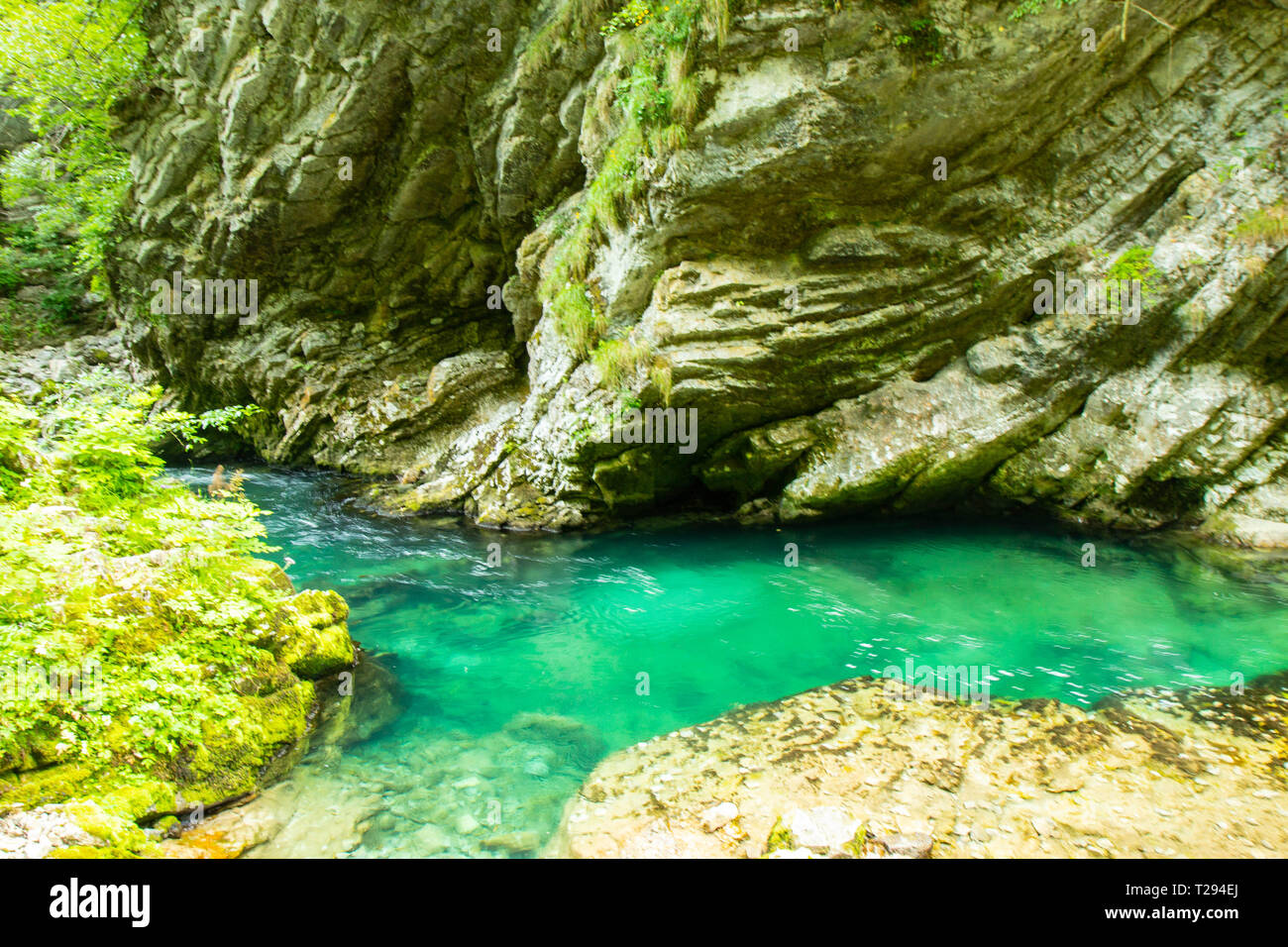 The Vintgar Gorge or Bled Gorge is a walk along gorge in northwestern ...