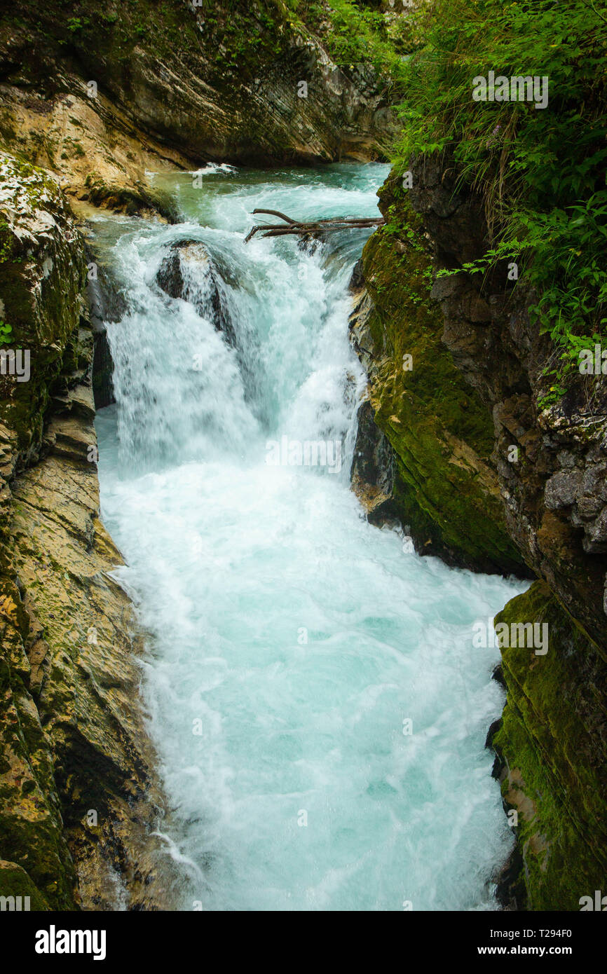 The Vintgar Gorge or Bled Gorge is a walk along gorge in northwestern ...