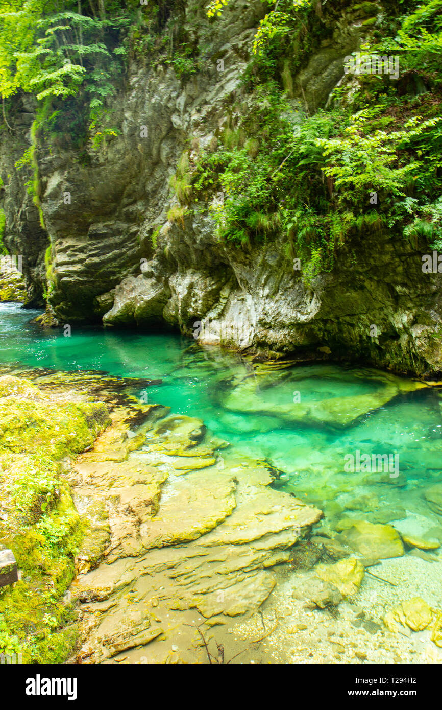 The Vintgar Gorge or Bled Gorge is a walk along gorge in northwestern ...
