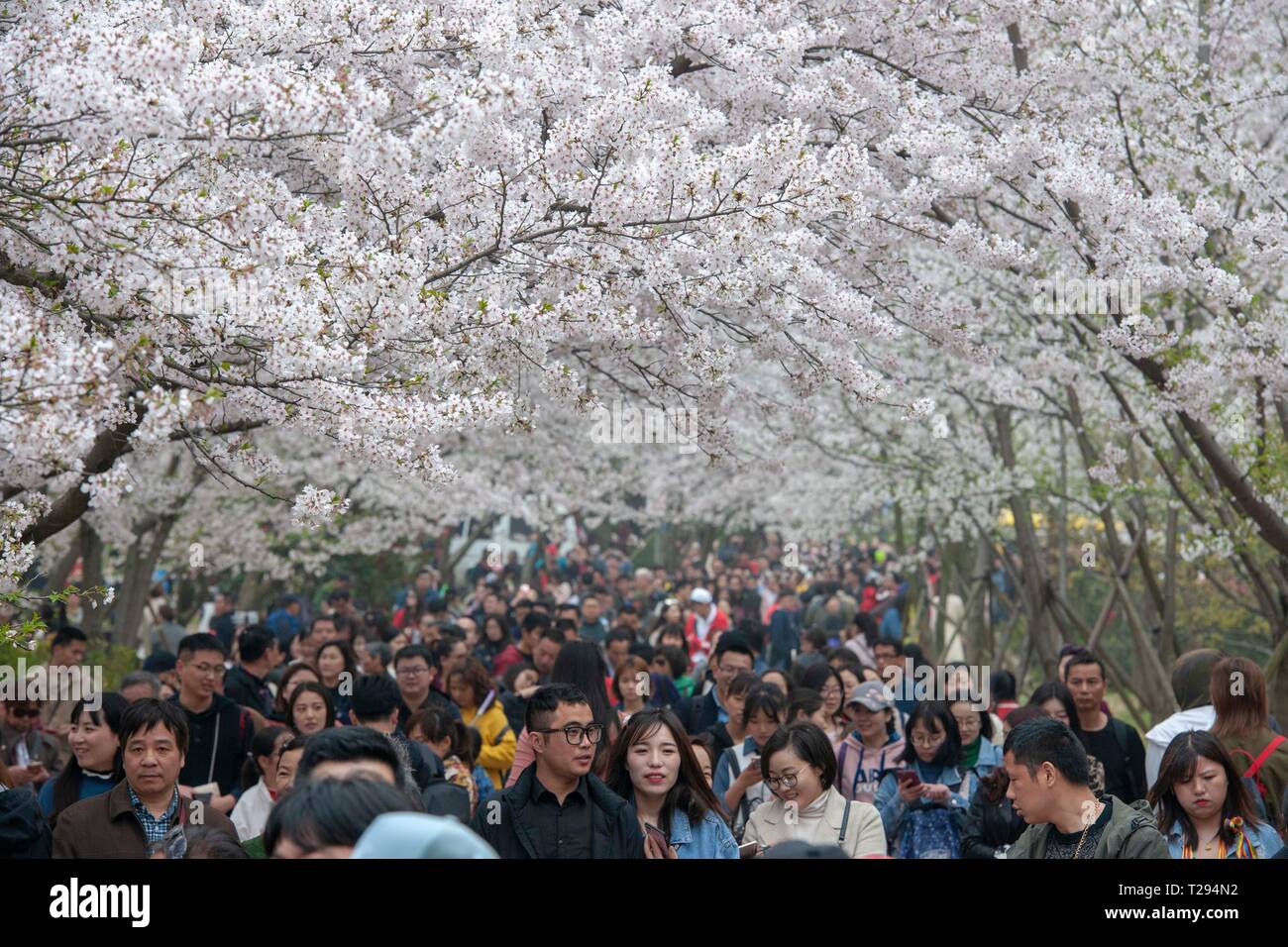 Wuxi yuantouzhu hi-res stock photography and images - Alamy