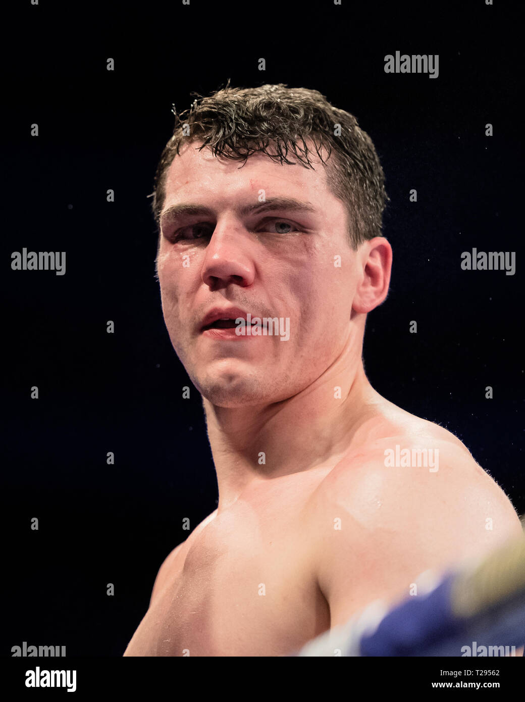 Welterweight vaclav hi-res stock photography and images - Alamy