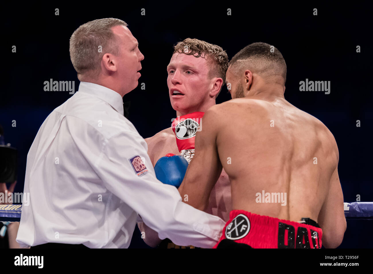 Commonwealth lightweight championship hi-res stock photography and ...