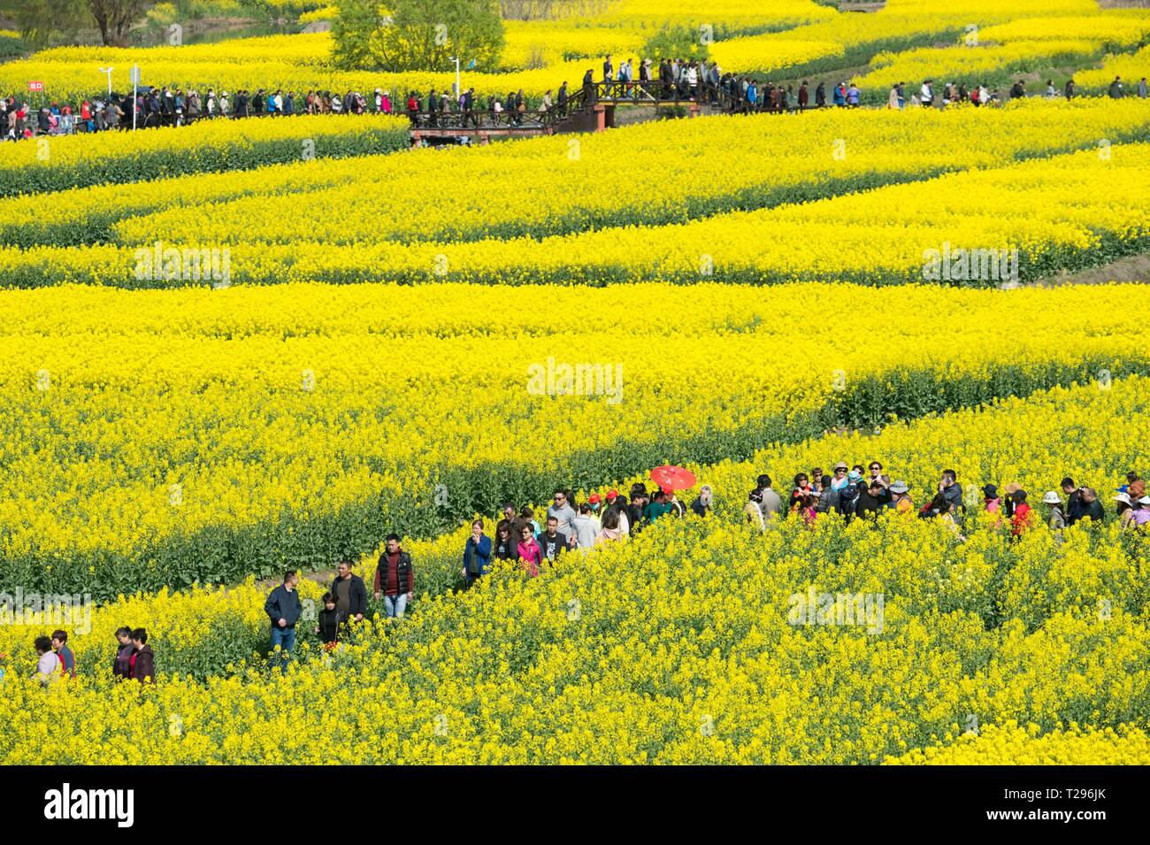 Jinbai hi-res stock photography and images - Alamy
