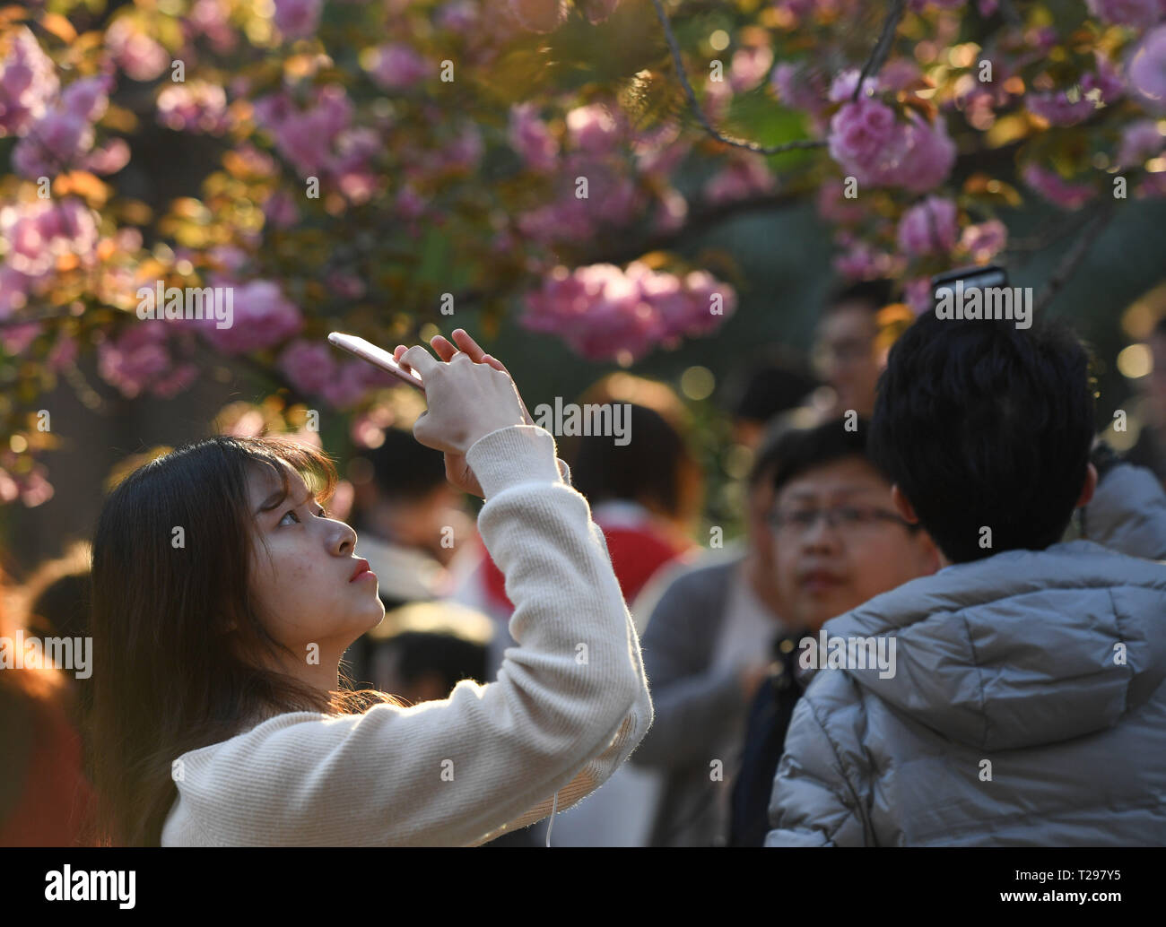 University science and technology hefei hi-res stock photography and ...
